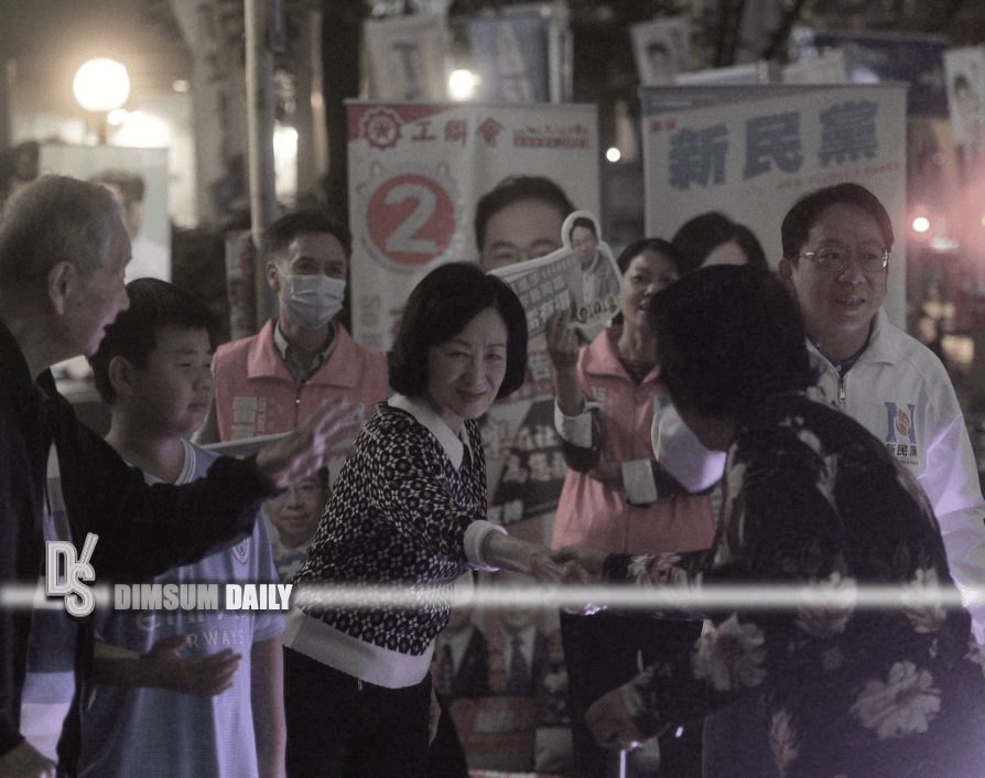 Regina Ip slams futility of extended voting at District Council ...