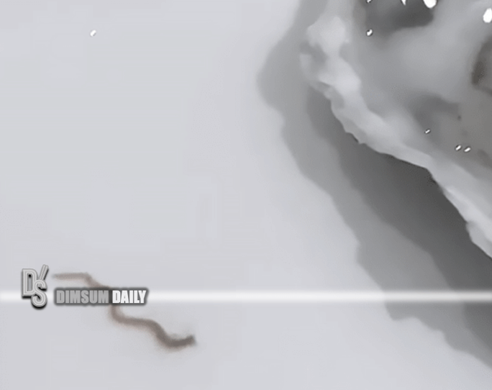 Customer finds worms in oysters at Tseung Kwan O hotel buffet - Dimsum ...