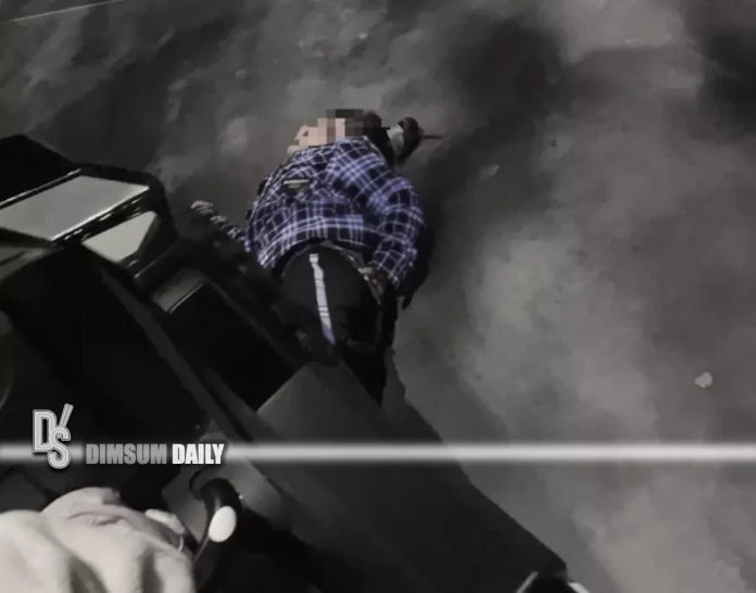 Shanghai Disney Resort's "Zootopia: Hot Pursuit" ride halts after ...