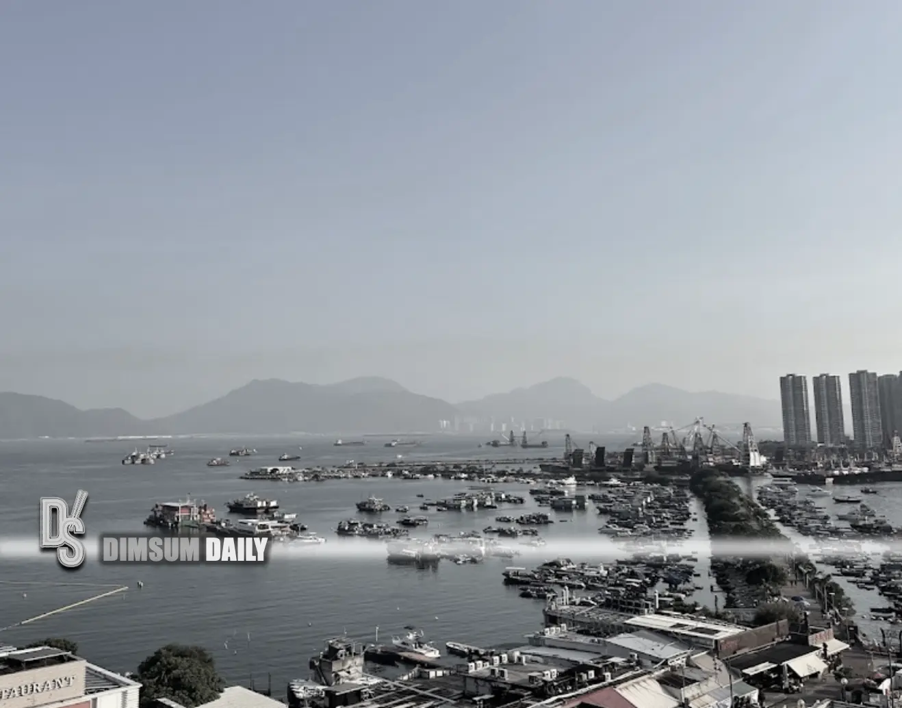 Woman rescued after falling into sea near Sam Shing Estate - Dimsum Daily