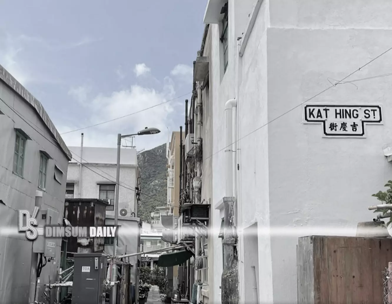 Kat Hing Street-333 - Dimsum Daily