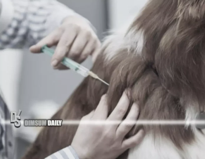 AFCD launches dog inoculation campaign at fishing ports to prevent ...