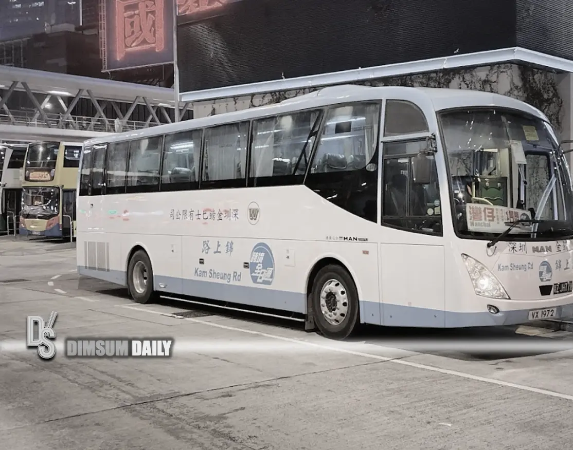 Long wait and chaotic scenes as 800 passengers queue at Wan Chai cross ...