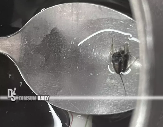 Cockroach discovered in drink served at Goof Off Cafe in Kennedy Town ...