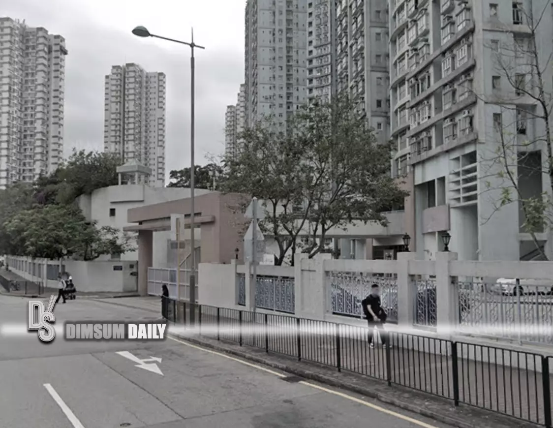 Police swiftly apprehend thief after following and robbing 70-year-old ...