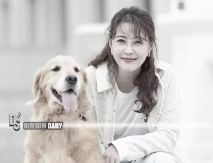 Beloved pet of late Hong Kong actress Kathy Chow finds new home - Dimsum Daily