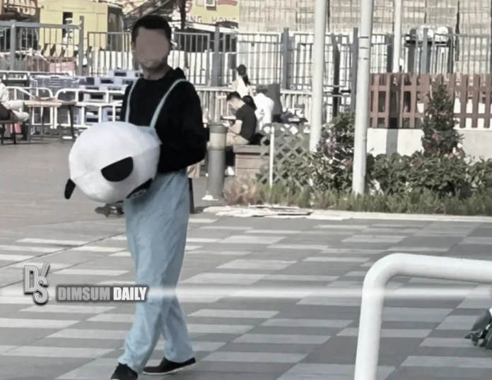 Hong Kong mother thwarts alleged 'deaf-mute gang' scam by panda mascot ...