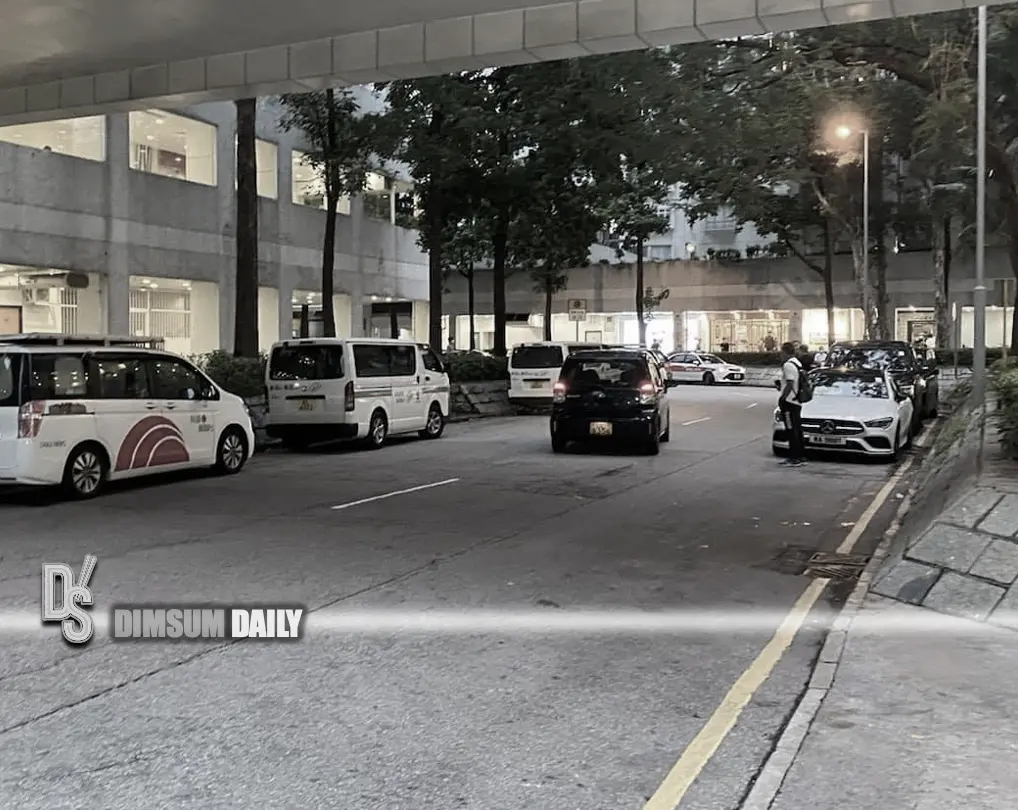 Elderly male driver hospitalised and dies after private vehicle ...