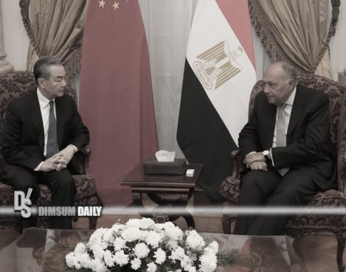 China and Egypt jointly call for immediate ceasefire in Gaza Strip ...