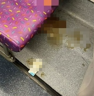 Long-distance bus passengers left appalled as bus seats become filled ...