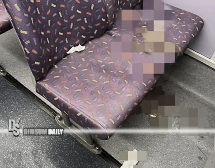 Long-distance bus passengers left appalled as bus seats become filled ...