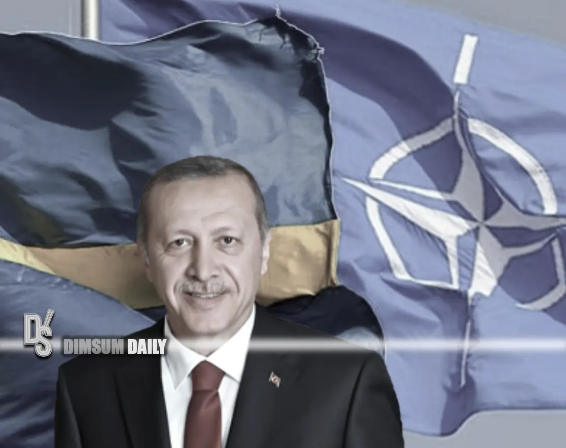 Turkish parliament anticipated to approve Sweden's NATO membership bid ...