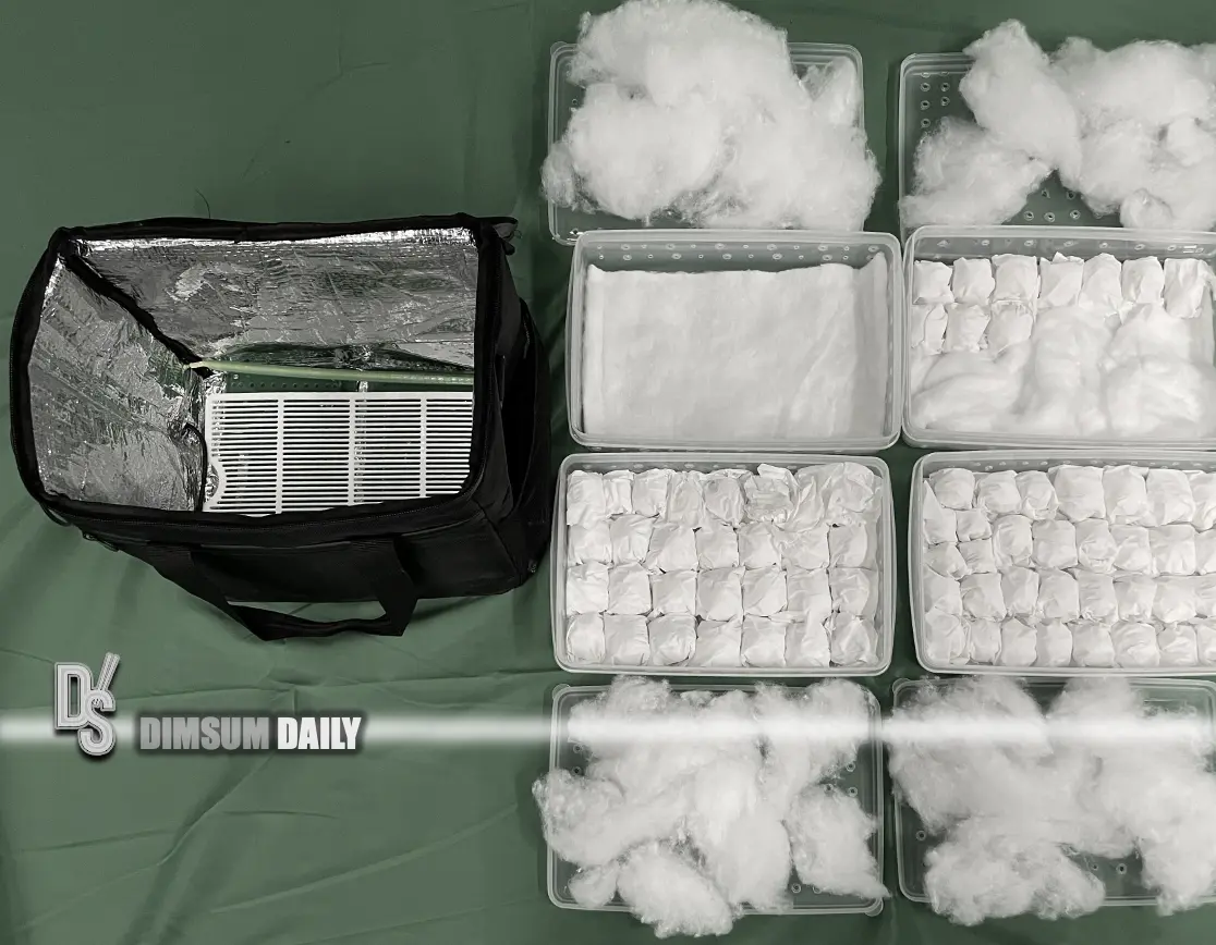 Hong Kong Customs seizes HK$450,000 worth of suspected endangered ...