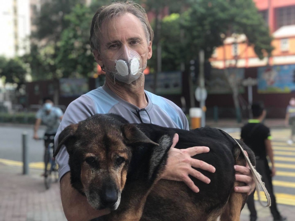 Late TVB actor Gregory Charles Rivers, devoted dog enthusiast, adopted ...