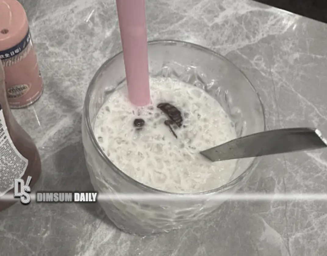 Rose Kitchen restaurant in Wan Chai under fire after giant cockroach ...