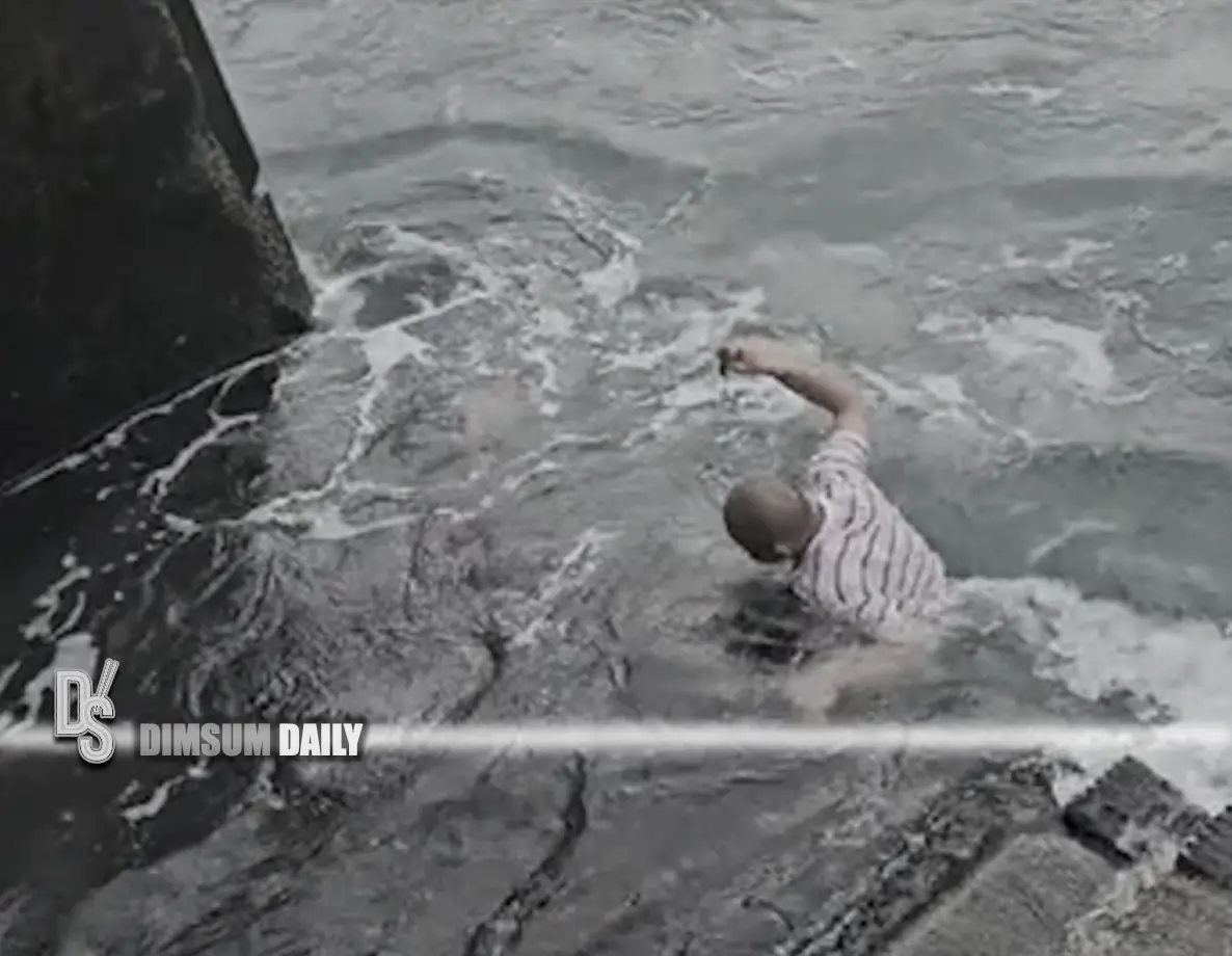 Heroic man rescues parrot from treacherous waters at Praya in Kennedy ...