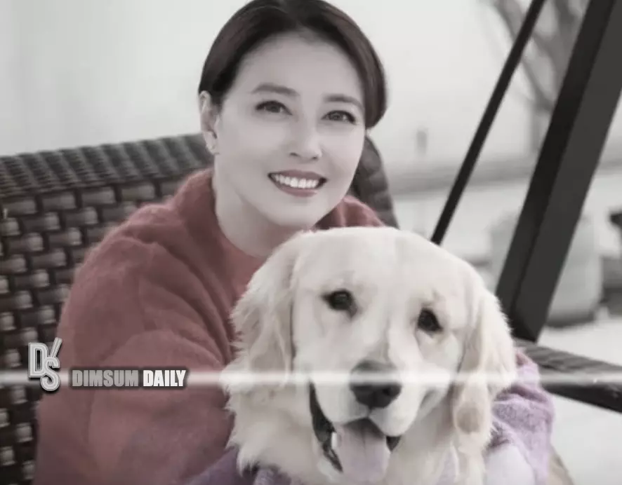 Late actress Kathy Chow's beloved dog finds a loving home with Mainland actress Li Qinqin ...