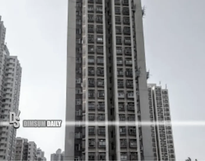 31-year-old woman falls to her death from high floor of Jade Plaza in ...