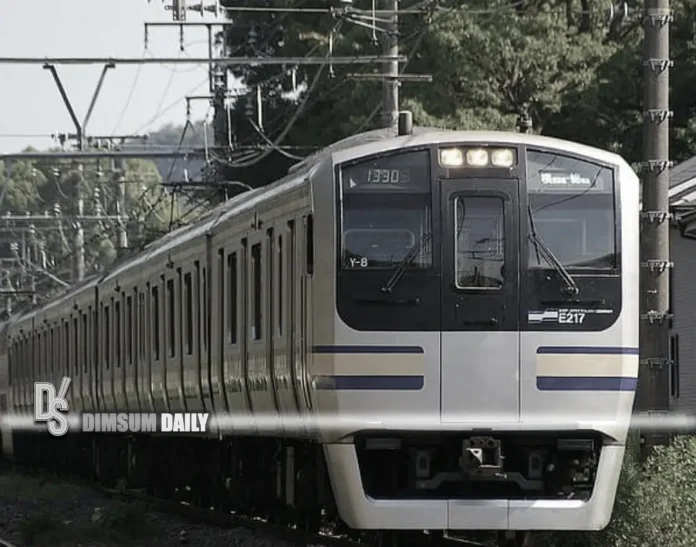 Fallen objects in tunnel cause suspension of train services on Tokyo ...