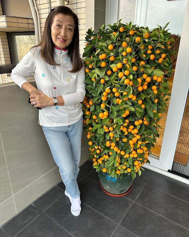 TVB actress Helena Ma reveals lavish lifestyle amidst half-century ...