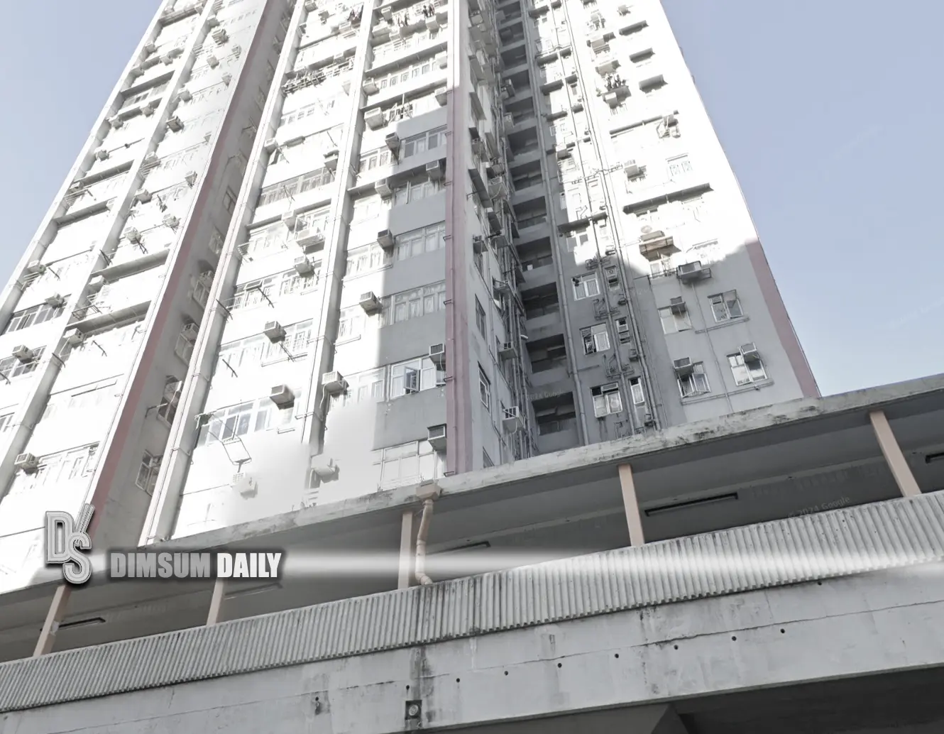 Cats rescued amidst Kwai Chung apartment blaze - Dimsum Daily