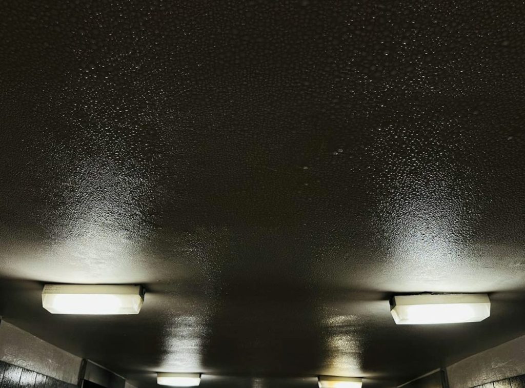 Hong Kong grapples with saturated air as humidity hits extreme levels ...