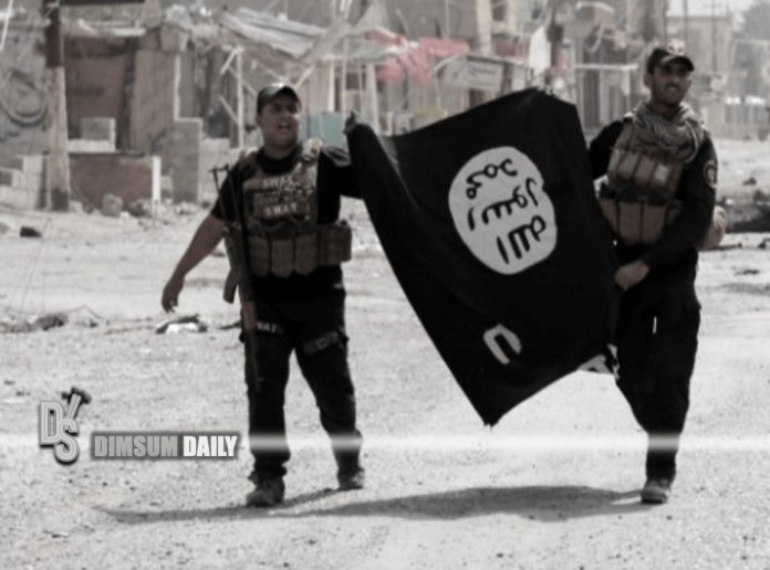 Iraqi forces eliminate Islamic State militants in precision airstrikes ...