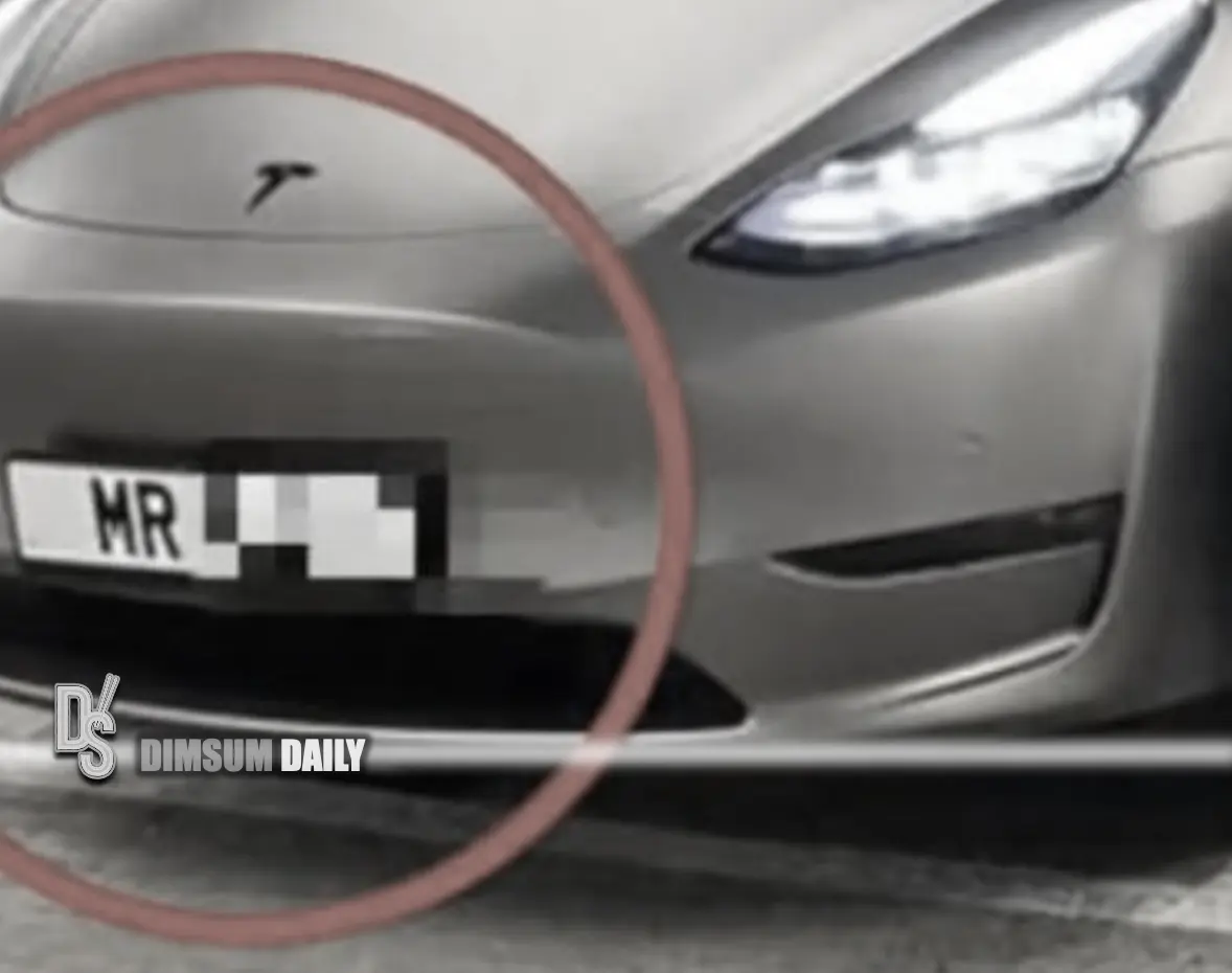 Local couples in love flaunt their bonds with personalised number ...