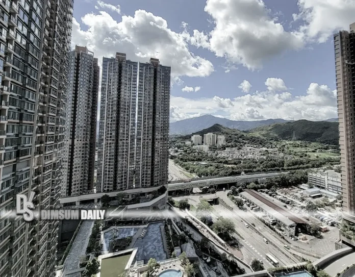 Yuen Long's Grand YOHO two-bedroom flats hit five-year low - Dimsum Daily