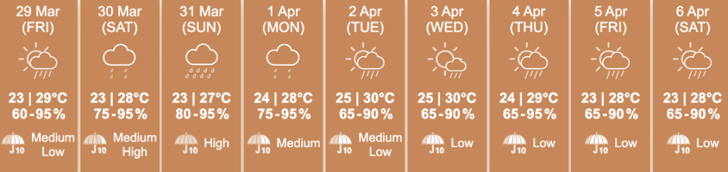 Hong Kong experiences misty mornings and sunny intervals today - Dimsum ...