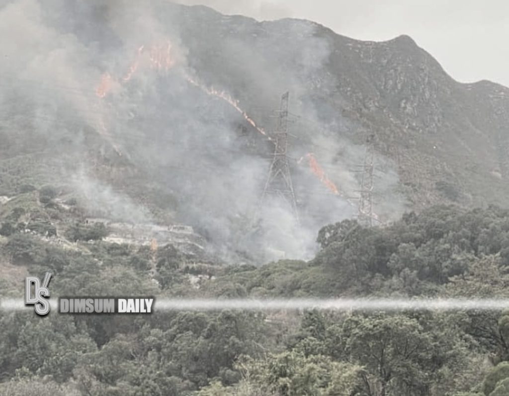 Fire Department receives 11 reports of wildfires since yesterday, urges ...
