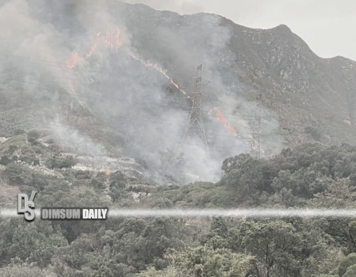 Fire Department receives 11 reports of wildfires since yesterday, urges ...