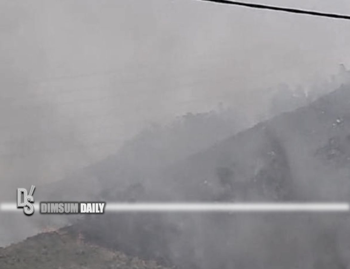 Yuen Long wildfire extinguished after 13 hours, voltage fluctuation ...