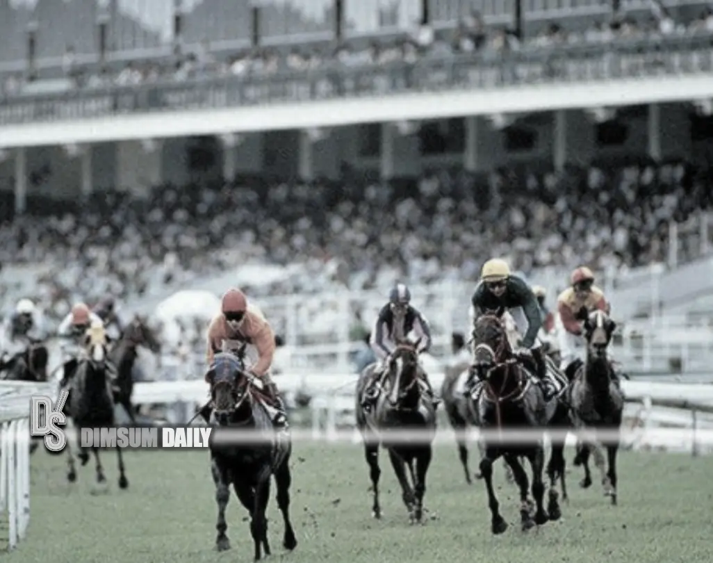 Macao's horse racing track holds final races after 40 years - Dimsum Daily