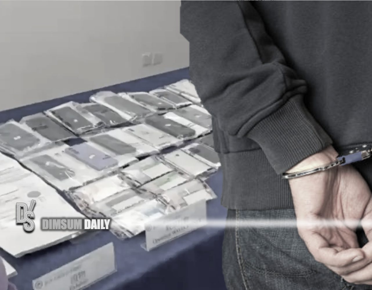 Police arrest 210 individuals in New Territories North for scams and ...