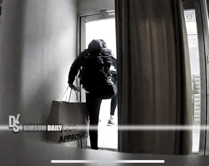 Brazen thief strikes Tsim Sha Tsui store, stealing 14 HERMÈS handbags ...