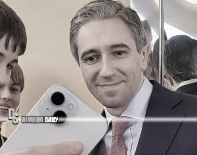 Simon Harris becomes Ireland's youngest-ever prime minister - Dimsum Daily
