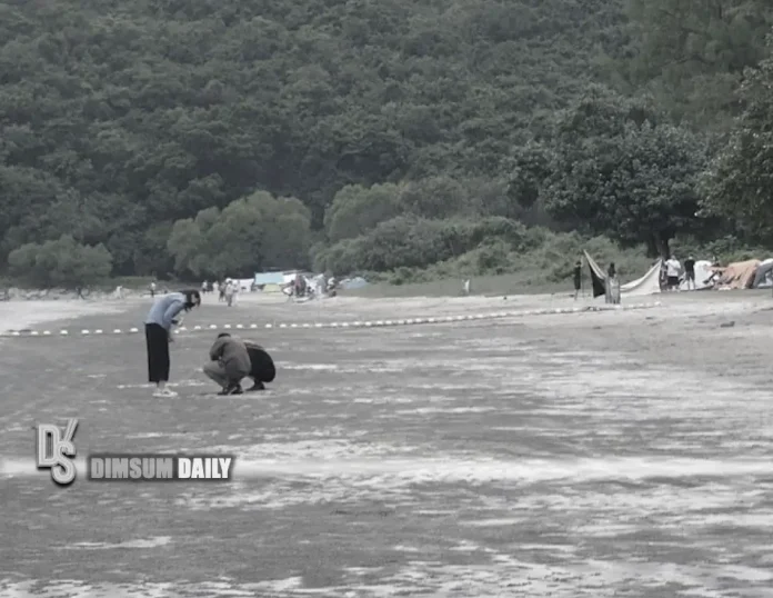 Suspected cocaine parcel valued at HK$1.1 million found at Pui O Beach ...