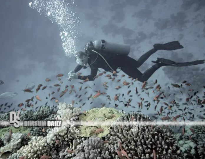 50-year-old Hong Kong tourist dies after scuba diving incident in South ...