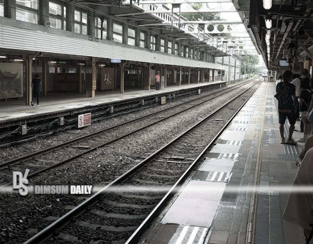 Signal system component failure at MTR Sheung Shui Station causes East ...