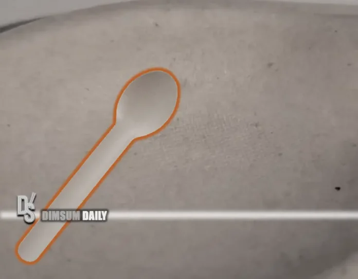 Insects found on biodegradable spoons spark hygiene concerns among Hong ...
