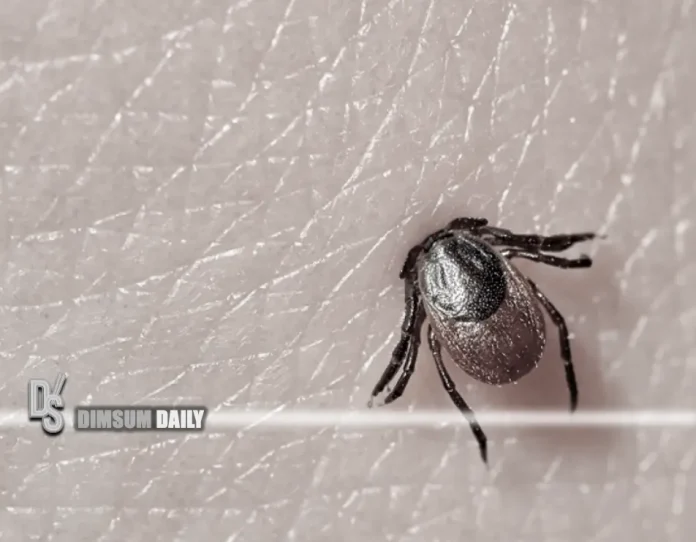 Ticks claim the life of a middle-aged woman in mainland China
