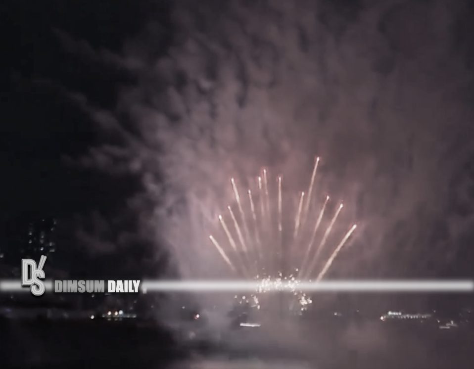 Fireworks 0105 - Dimsum Daily