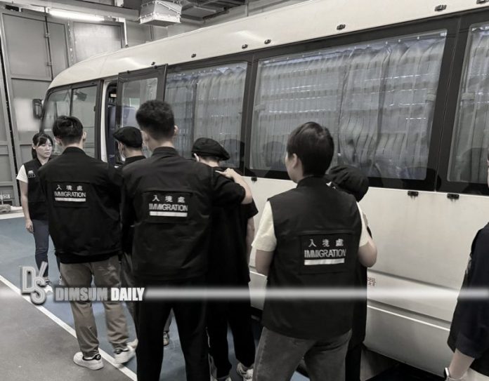 Immigration Department apprehends 12 individuals in crackdown on ...