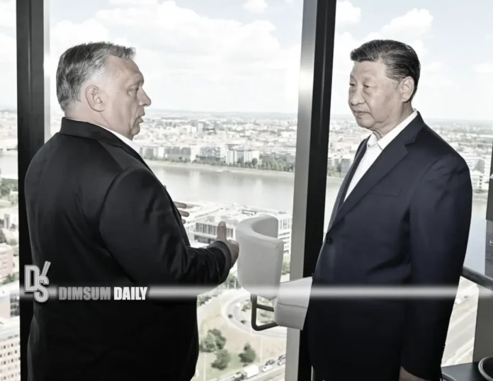 Chinese President Xi Jinping concludes state visits to France, Serbia ...