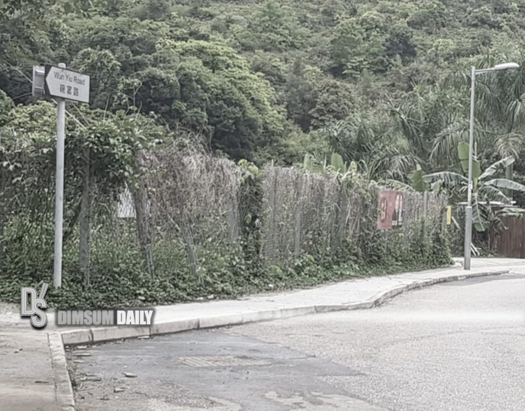 Minibus overturns in Tai Po after collision attempt to avoid pedestrian ...