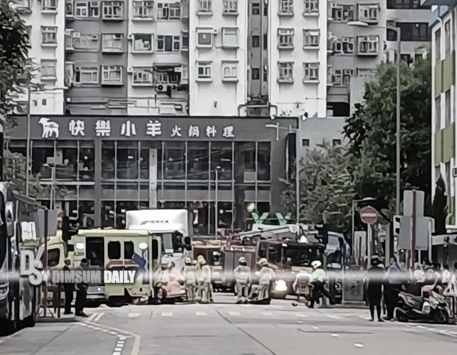 Elderly woman critically injured as truck collides with her at Sai Yee ...