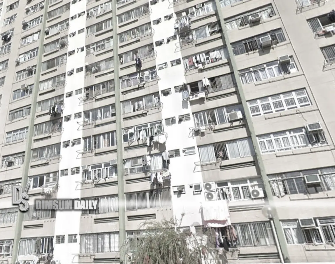 26-year-old woman falls to her death at Shek Wai Kok Estate in Tsuen ...