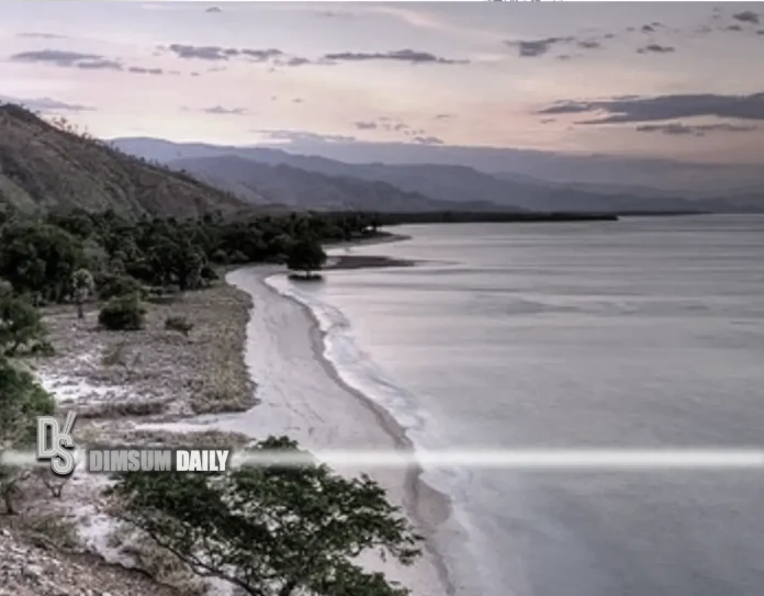 Archaeological discoveries in Timor challenge early human migration theories - Dimsum Daily