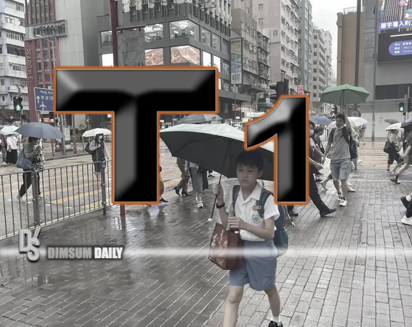 Hong Kong Observatory to issue Strong Wind Signal No. 3 at 4.40pm as ...